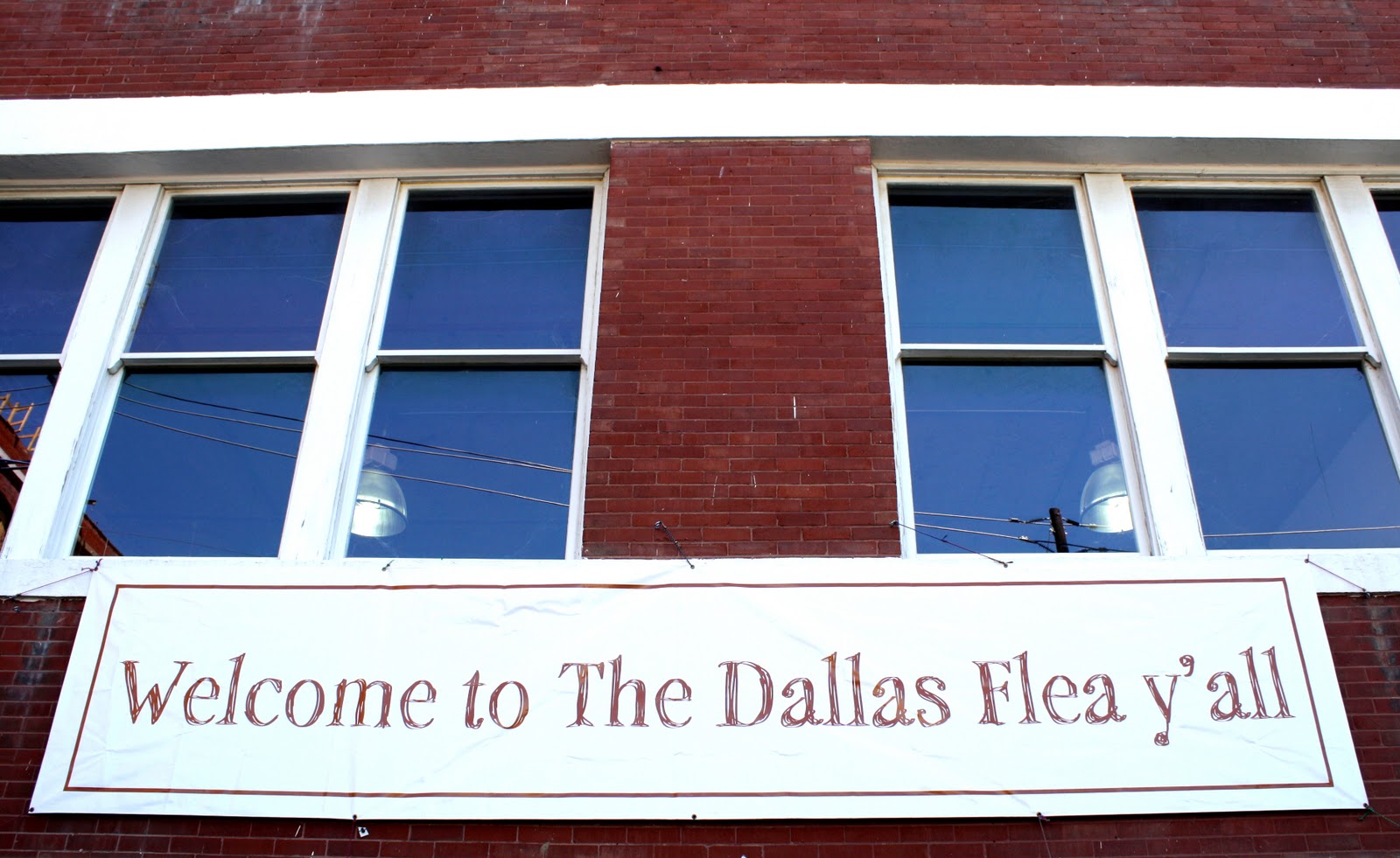 When a Flea is a Good Thing | YouPlusStyle